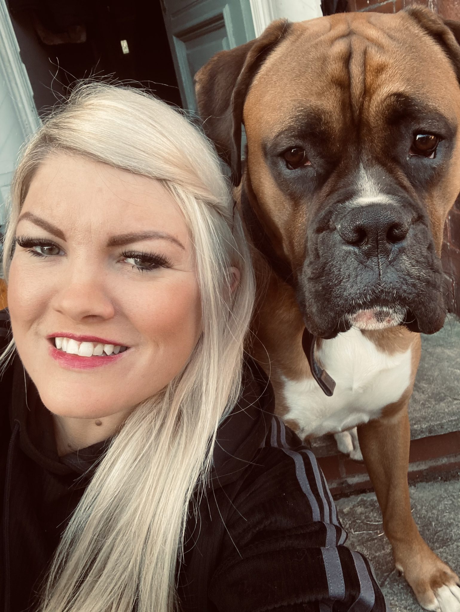 Professional Dog Training In Manchester Holly s Happy Hounds